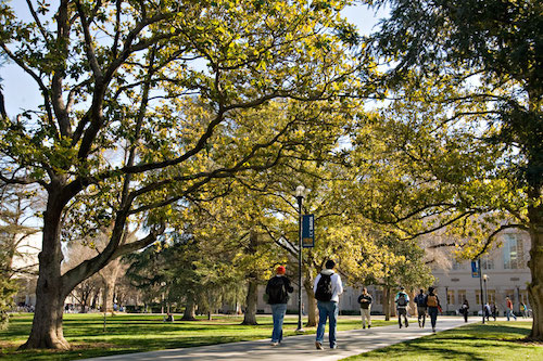 20 Best MPH Programs in California - MPH Online