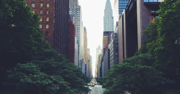 15 Best MPH Programs in New York - MPH Online