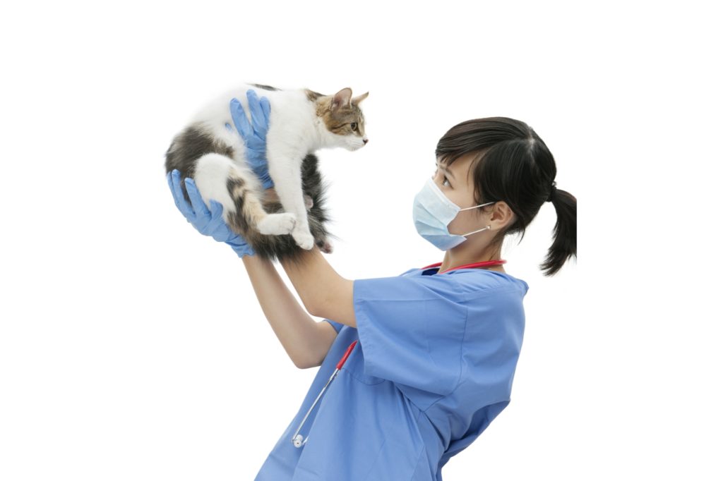 15 Best Jobs in Epidemiology - MPH Online