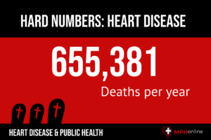 Top 10 Most Common Health Issues: What Public Health Professionals Need ...