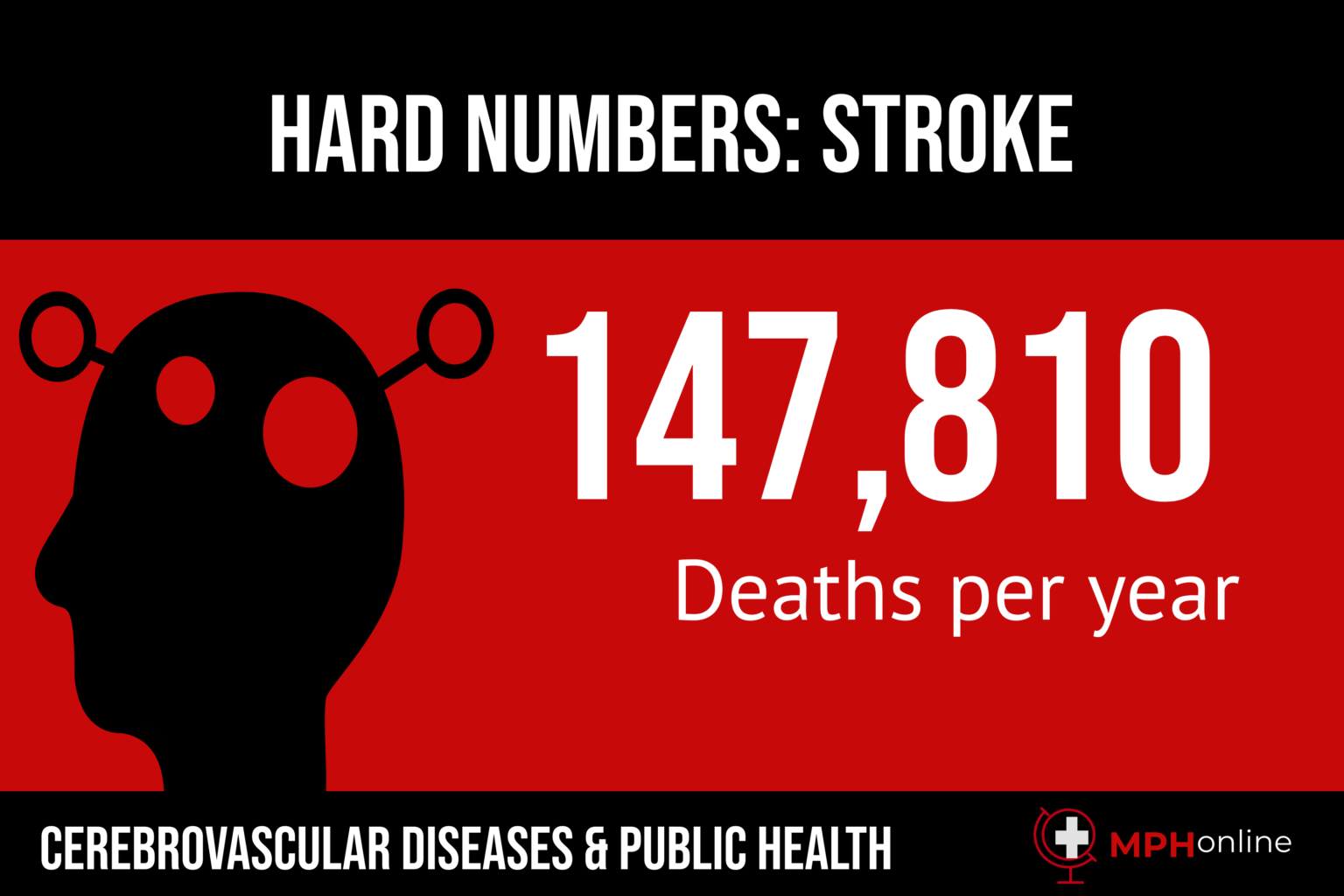 Top 10 Most Common Health Issues: What Public Health Professionals Need ...